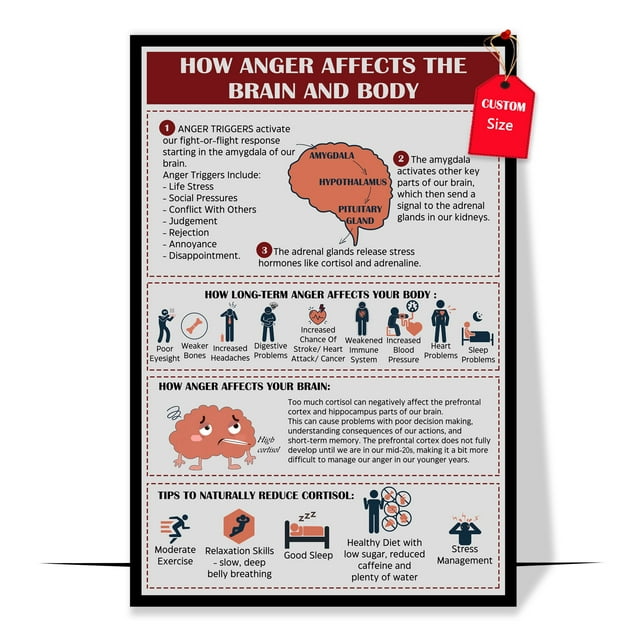 LOLUIS How Anger Affects The Brain and Body Poster, Anger Poster for ...