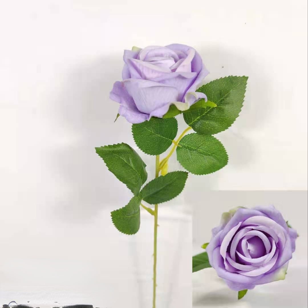 White Rose With Purple Tips