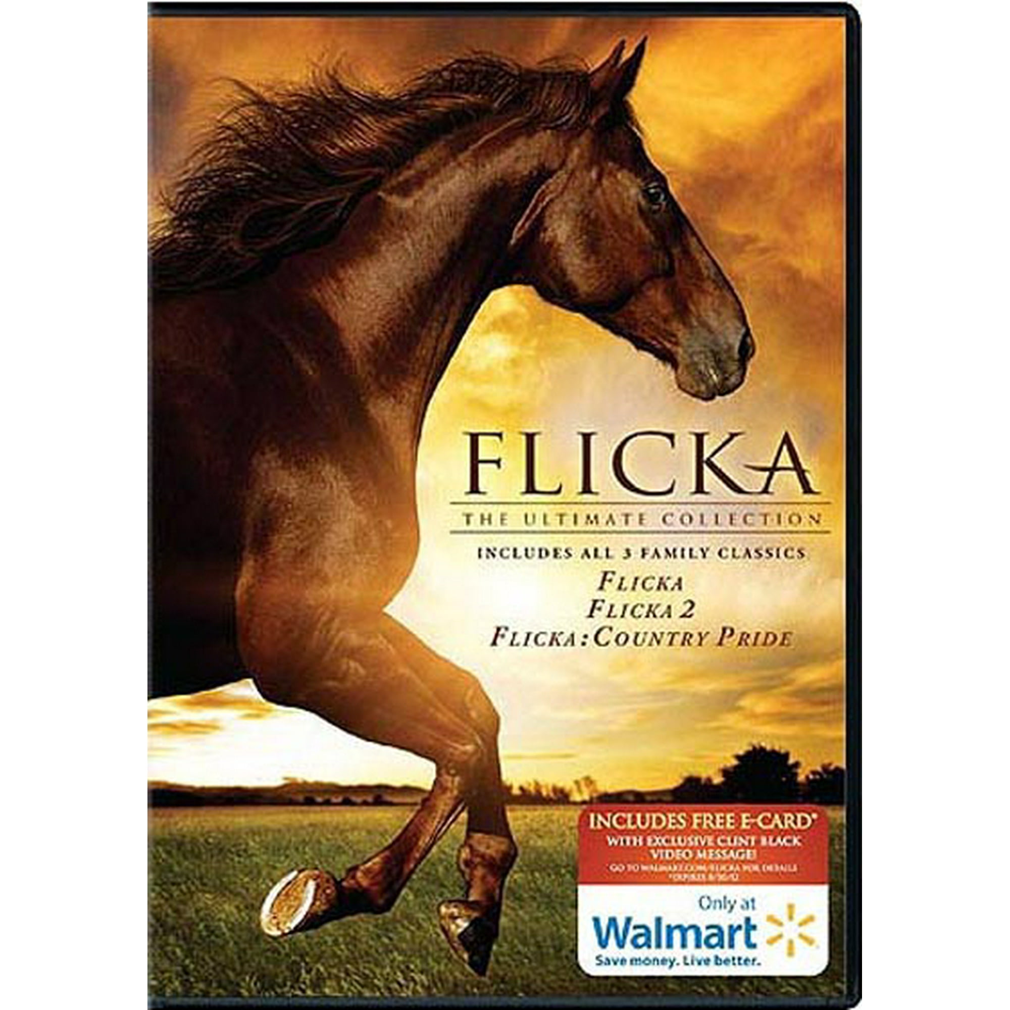 Flicka 3