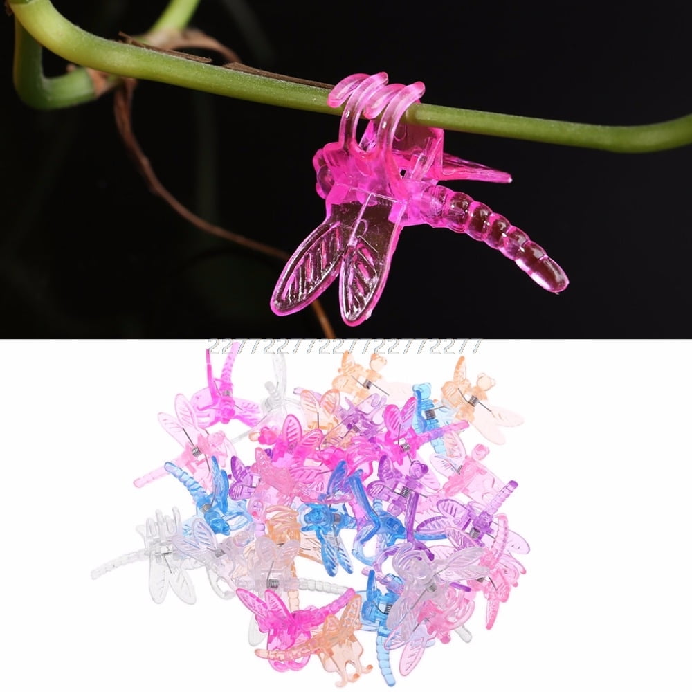 30Pcs Orchid Clips TRIANU Dragonfly Plant Clips Orchid Support Clips ...