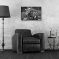 Epic Art 'Zebras' by Mike Jones, Acrylic Glass Wall Art, 24"x16 ...