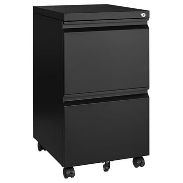 Letaya Mobile 2 Drawer File Cabinet with Shelves, Under Desk Metal ...