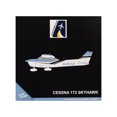 Cessna 172 Skyhawk Aircraft "N46418" Light Blue and White "Gemini ...