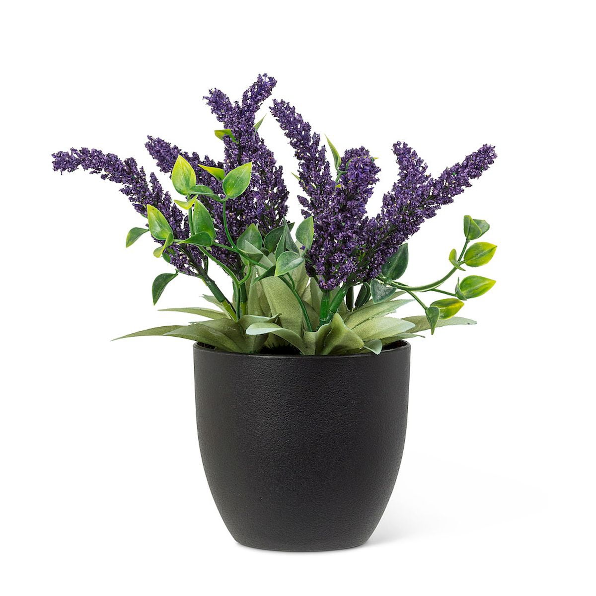 Click here for Unbranded Lavender Bunch In Pot Floral prices