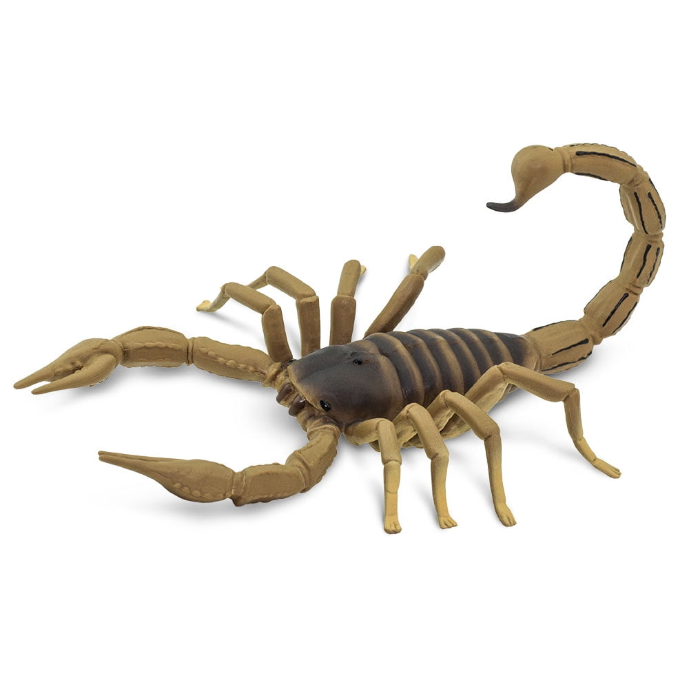 Incredible Creatures Scorpion Safari Ltd New Educational Kids Toy ...