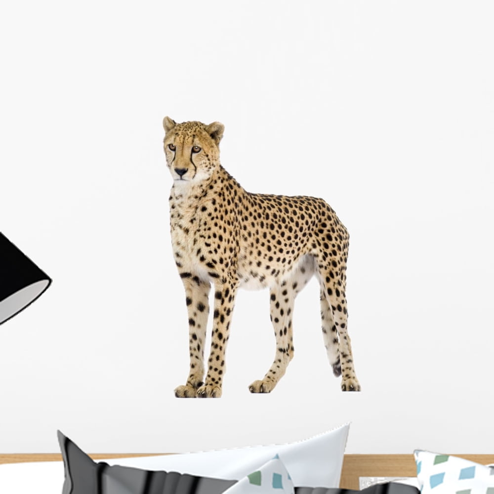 Cheetah Front White Wall Decal Sticker, Wallmonkeys Peel & Stick Vinyl ...