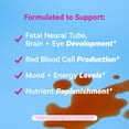 Pink Stork Liquid Prenatal Vitamin: Organic Blend, Folate, Iron, Zinc ...