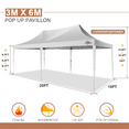 COBIZI 10x20 Pop Up Canopy Tent with 6 Removable Sidewalls, Instant ...