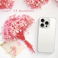 5000+ Mini Pink Dried Babys Breath Flowers, 160pcs Baby Breath Bouquet ...