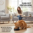 15-Degree Tilted Cat Bowl with Cute Cat Ear Design Stainless Steel ...