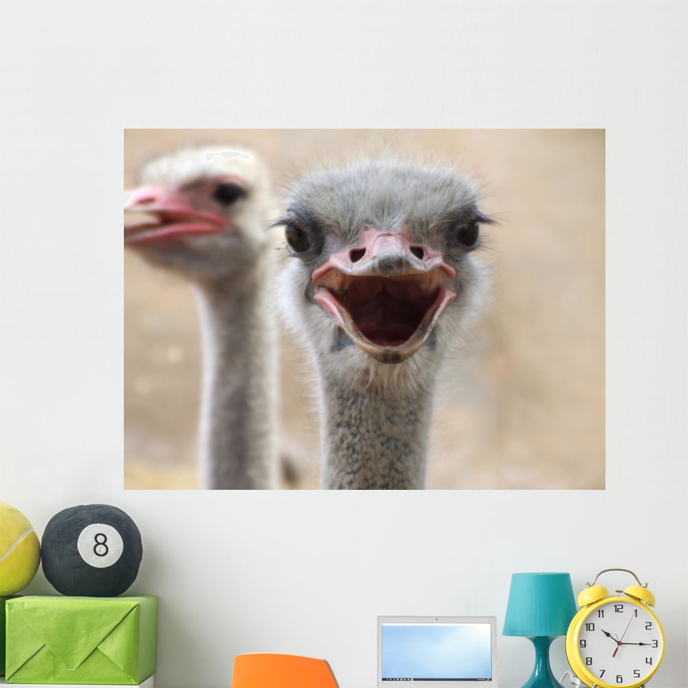 Hot Ostrich Wall Mural Decal Sticker, Wallmonkeys Peel & Stick Vinyl ...