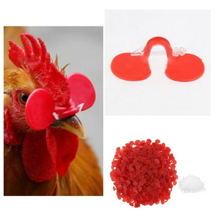 500x Chicken Peepers Poultry Blinders Anti-Pecking Eye Glasses Chicken ...
