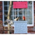 Infinity Bird Feeder - Wild Bird Feeder with 360 Degree View of Feeding ...
