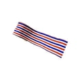 4th Of July Patriotic Ribbon 2 Rolls Red White Blue Wired Ribbon 106 ...