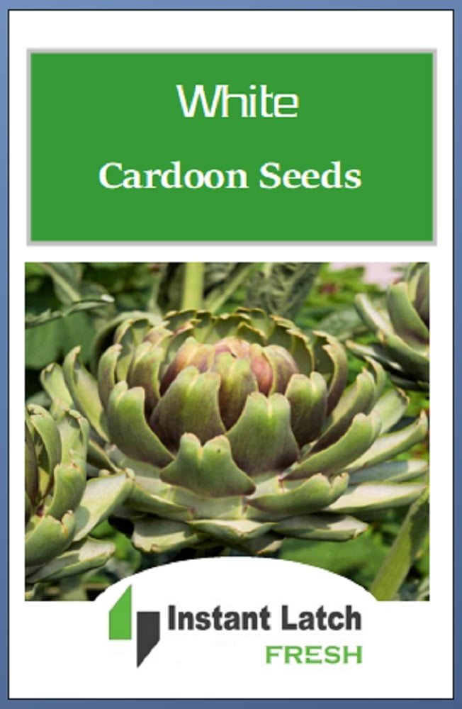 50 White Cardoon Seeds | NON-GMO | Heirloom | Fresh Garden Seeds ...