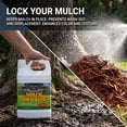 1 Gal+68oz Mulch Glue For Landscaping, Ready To Use Fast-Dry Non-Toxic ...