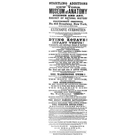 Museum Of Anatomy Ad, 1869. /Nadvertisement For The New York Museum Of ...