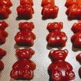 20 Cavity Large Gummy Bear Mold/Big Bear Crayon Mold for Brownie Muffin ...