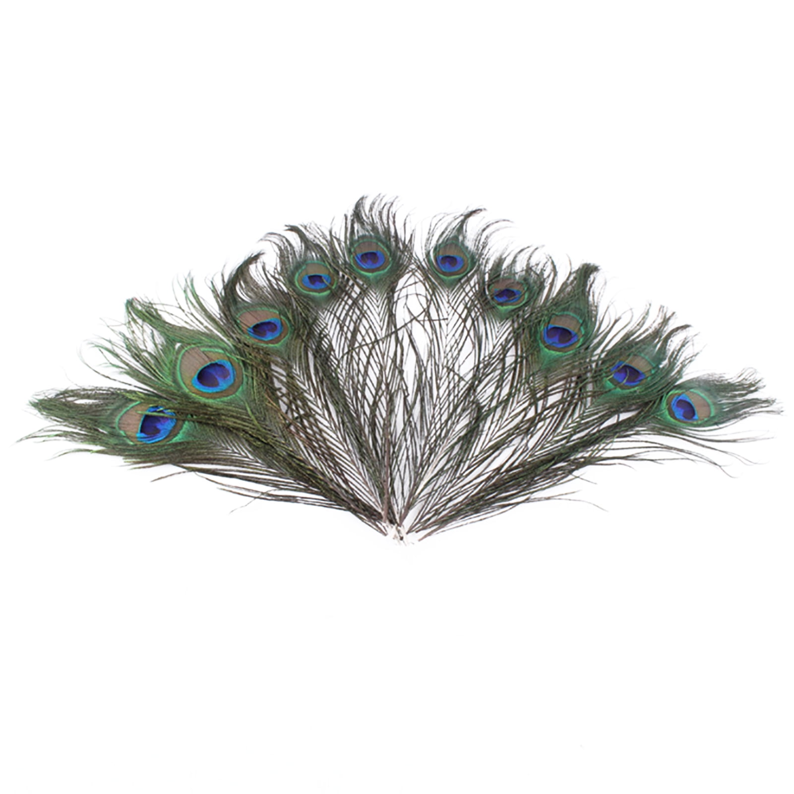 Peacock Feather Items