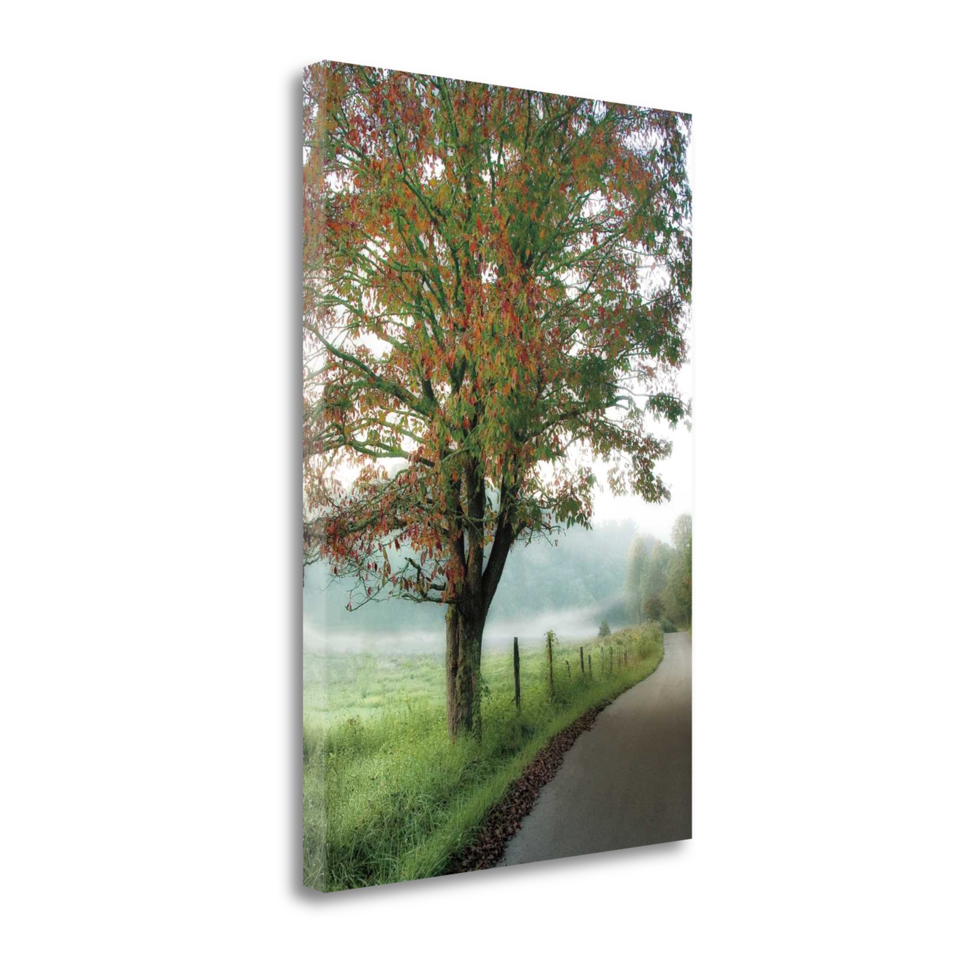 Almost Autumn By D. Burt, 32" x 47" Fine Art Giclee Print on Gallery ...