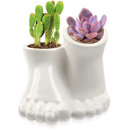 Lepai Foot Shaped Succulent Planter Pots Decorative Flower Pots Mini ...