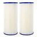 Watts Premier 560067 Compatible Carbon Block Premium Plus Bi-Annual ...