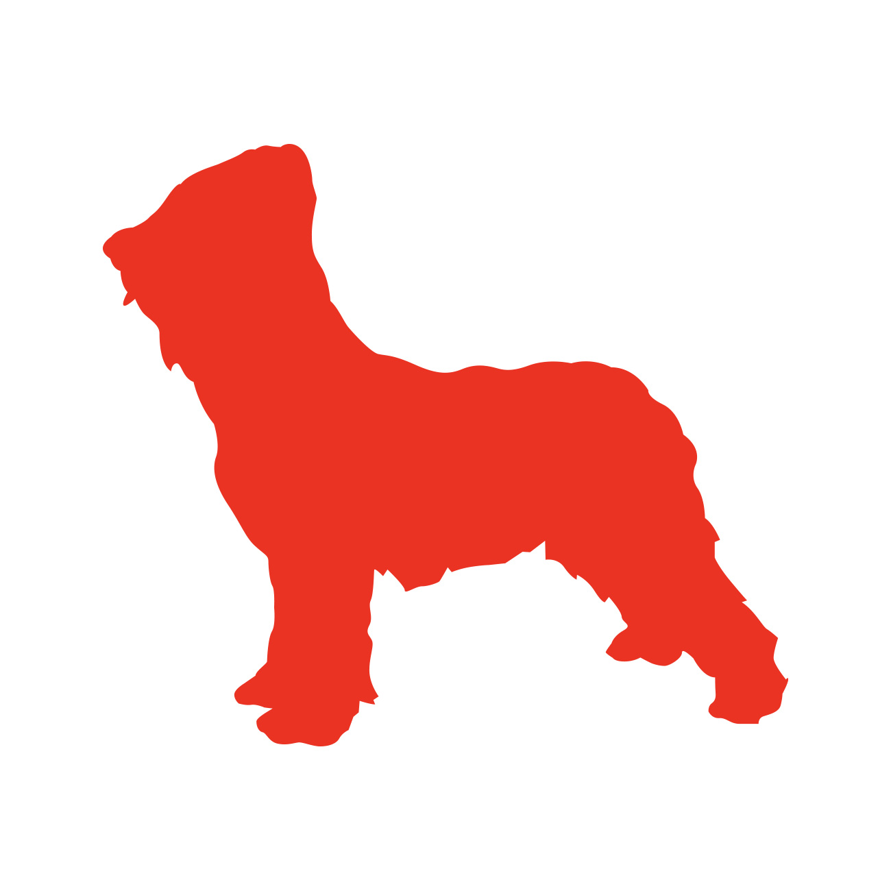 Briard Sticker Decal Die Cut - Self Adhesive Vinyl - Weatherproof ...