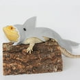 QBLEEV Lizard Clothes Shark Costume Gift,Felt Reptile Outfits Decor for ...