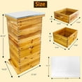 5 Layer Beehive, Bee Hive Dipped in 100% Beeswax, Include Queen ...