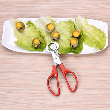 TB&W Bird Quail Egg Scissors Pigeon Opener Cutter Cracker Clipper ...