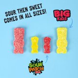 SOUR PATCH KIDS Big Kids Soft & Chewy Candy, Share Size, 12 oz ...