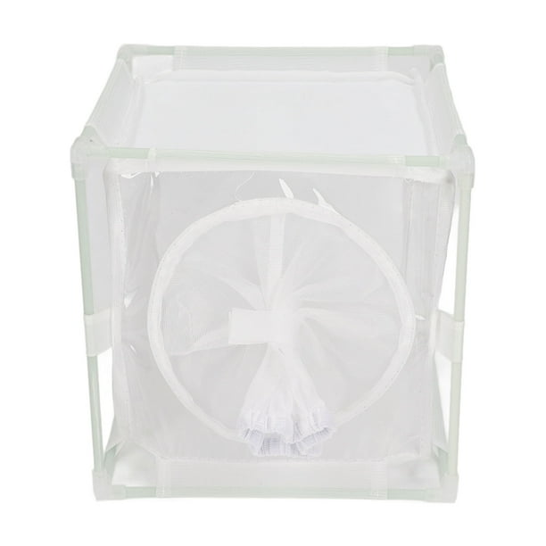 Reusable Insect Observation Habitat,Insect Observation Cage PVC Mesh ...