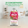 Pinalen 2X Max Aromas Household All Purpose Cleaner - Floral Delight ...