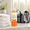 Persimmon Body Wash, Persimmon Liquid Soap for Body Odor, Shower Gel ...