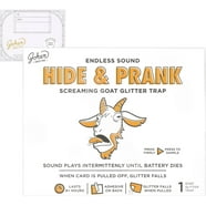 Prank Pack, Roto Wipe Prank Gift Box, Wrap Your Real Present in a Funny ...