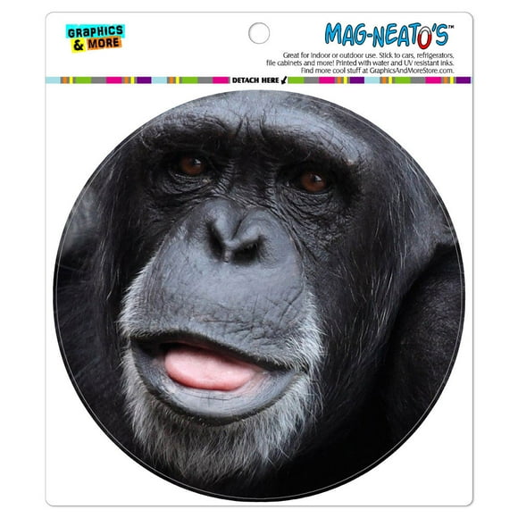 Monkey Magnets