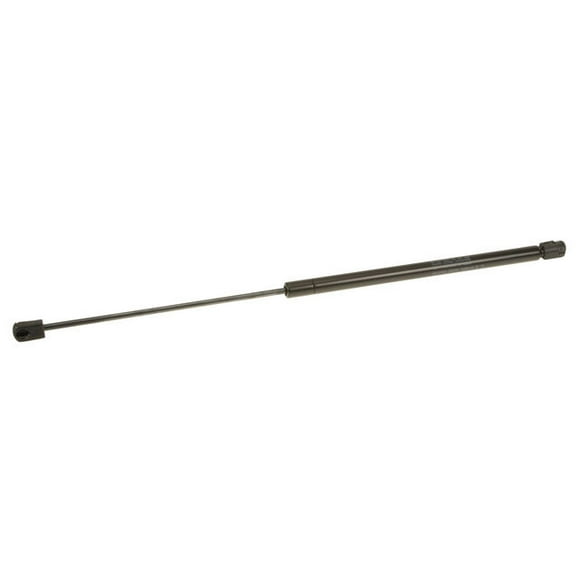 Tahoe Rear Hatch Struts