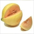Seedville 30 Crenshaw Melon Fruit Cucumis Melo Seeds - Walmart.com