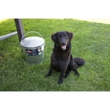 Behrens 10-Gallon Large Handle Metal Bucket, Galvanized Steel Locking ...