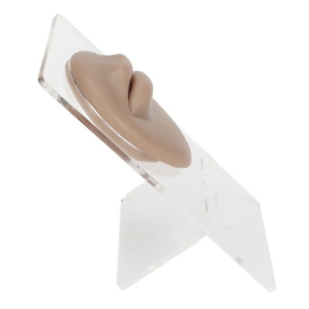 D Silicone Mouth Model,Simulated 3D Mouth Model Piercing Model Piercing ...