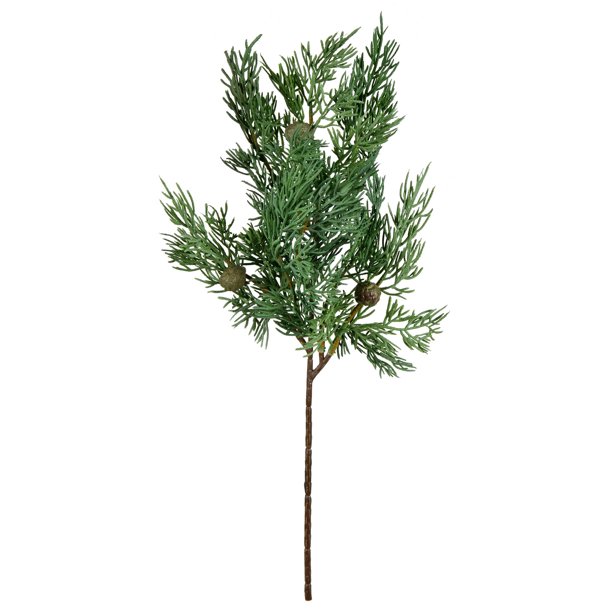 Cedar Sprig
