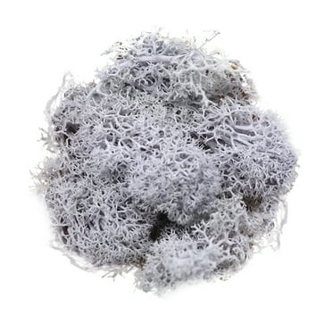 ProFlora 16" x 18" Green Moss Sticky Back Mat, 1 Each Decoration 16in ...