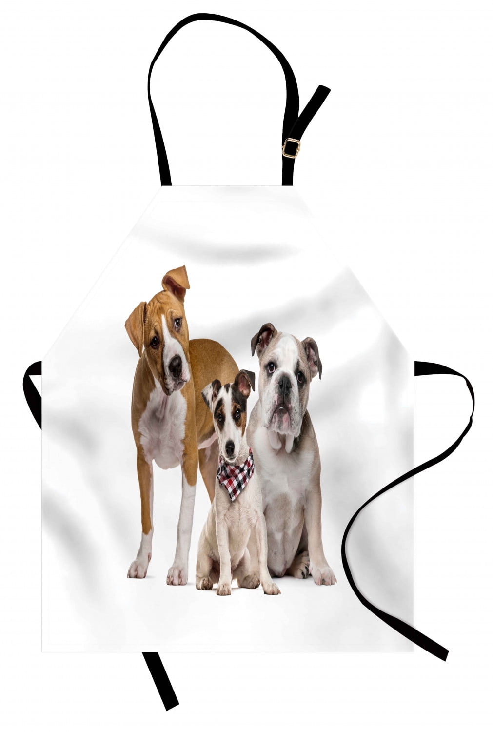Puppy Apron, Funny Studio Shot Photo of Various Breeds of Dogs Middle ...