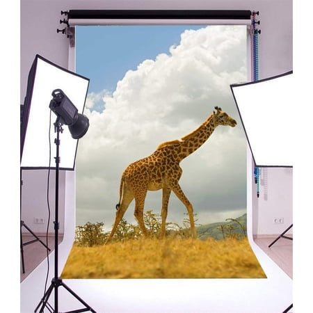 BSDHOME 5x7ft Photography Backdrop Giraffe Nature Ric Blue Sky White ...
