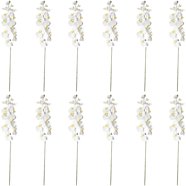 Farmlyn Creek 13 Pieces 3D Paper Flowers Decorations For Wall Decor ...