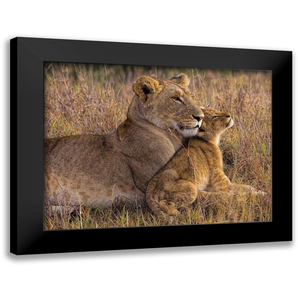 Jager, Henry 24x19 Black Modern Framed Museum Art Print Titled - Baby ...