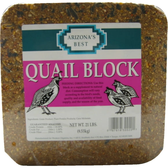 Bird Seed Blocks