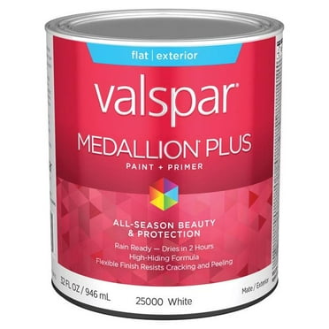 Valspar Professional Quality Interior Latex Pva Primer, 5 Gallon ...
