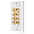 Fosmon (Quad Speaker) Home Theater Wall Plate, Gold Plated Copper ...