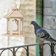 TERGAYEE Wooden Bird Feeder,Wooden Handicrafts Style Bird House Bird ...
